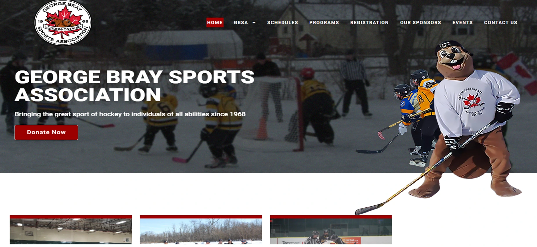 Home - GeorgeBrayHockey.ca